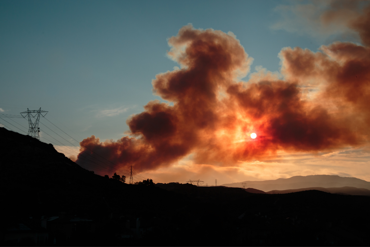 2019 Fires Devastating Baja California: How to Help - Catalyst of San ...